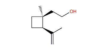 The Pherobase Synthesis - 1S2R-grandisol | C10H18O