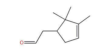 The Kovats Retention Index: 2,2,3-Trimethyl-3-cyclopentene-1 ...