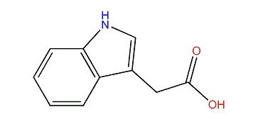 Semiochemical compound: 2-(1H-Indol-3-yl)-acetic acid | C10H9NO2