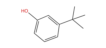Plant Compound: 3-(1,1-Dimethylethyl)-phenol | C10H14O)
