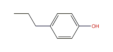 Semiochemical compound: 4-Propylphenol | C9H12O