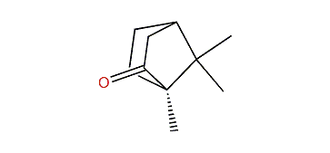 Semiochemical compound: (1R)-1,7,7-Trimethylbicyclo[2.2.1]heptan-2-one ...