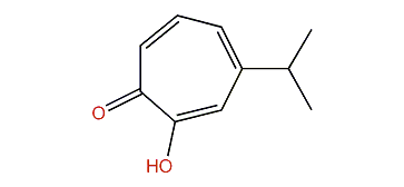 Semiochemical compound: 2-Hydroxy-4-isopropyl-2,4,6-cycloheptatrien-1-one | C10H12O2