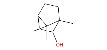 The Pherobase Synthesis - borneol | C10H18O