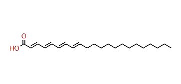 Semiochemical compound: Docosatetraenoic acid | C22H36O2
