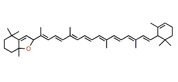 Semiochemical compound: 5,8-Epoxy-5,8-dihydro-beta,epsilon-carotene ...