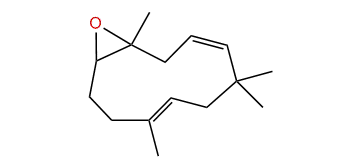 The Kovats Retention Index: Humulene epoxide III (C15H24O)
