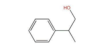 The Kovats Retention Index: 2-Phenylpropan-1-ol (C9H12O)