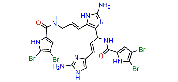 Semiochemical compound: Nagelamide Z | C22H20Br4N10O2