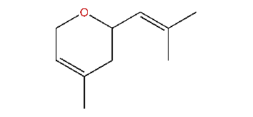 The Pherobase Synthesis - nerol oxide | C10H16O