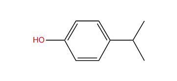 The Kovats Retention Index: 4-Isopropylphenol (C9H12O)