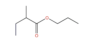 The Kovats Retention Index: Propyl 2-methylbutanoate (C8H16O2)