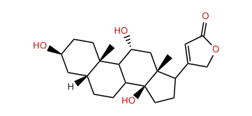 Semiochemical compound: 3b,11a,14-Trihydroxy-5b-20(22)-cardenolide ...