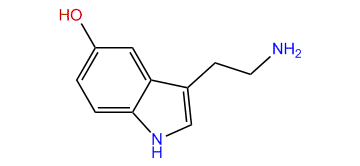 Semiochemical compound: 5-Hydroxytryptamine | C10H12N2O