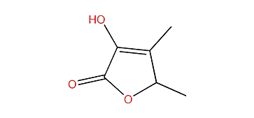 The Kovats Retention Index: 3-Hydroxy-4,5-dimethylfuran-2(5H)-one (C6H8O3)